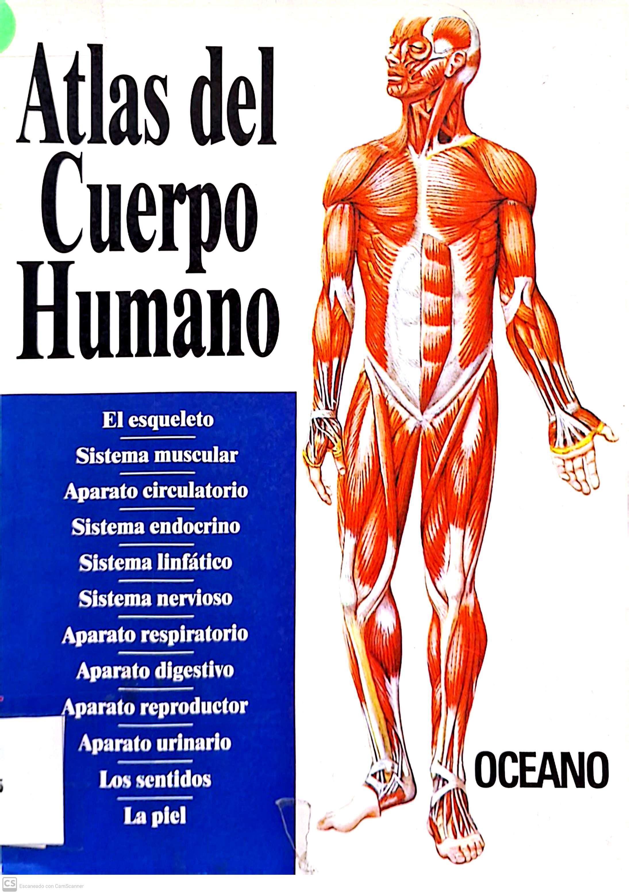 Atlas Anatomía Del Cuerpo Humano